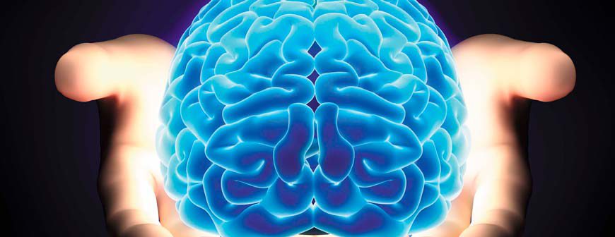 NEUROPSICOLOGIA COM ÊNFASE EM REABILITAÇÃO COGNITIVA EAD – IPB ...